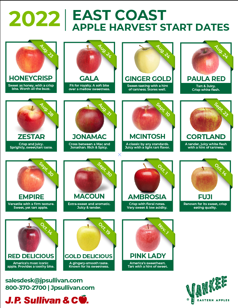 Apple Packaging Company - JP Sullivan & Co